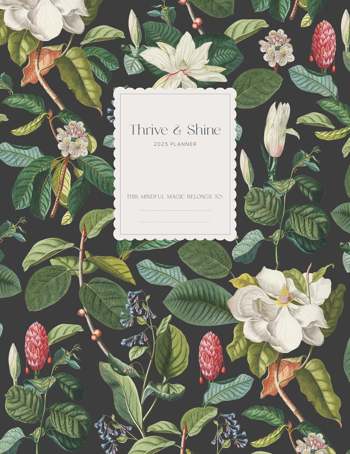 2025 Thrive & Shine Planner by Fallon Oten Vervante